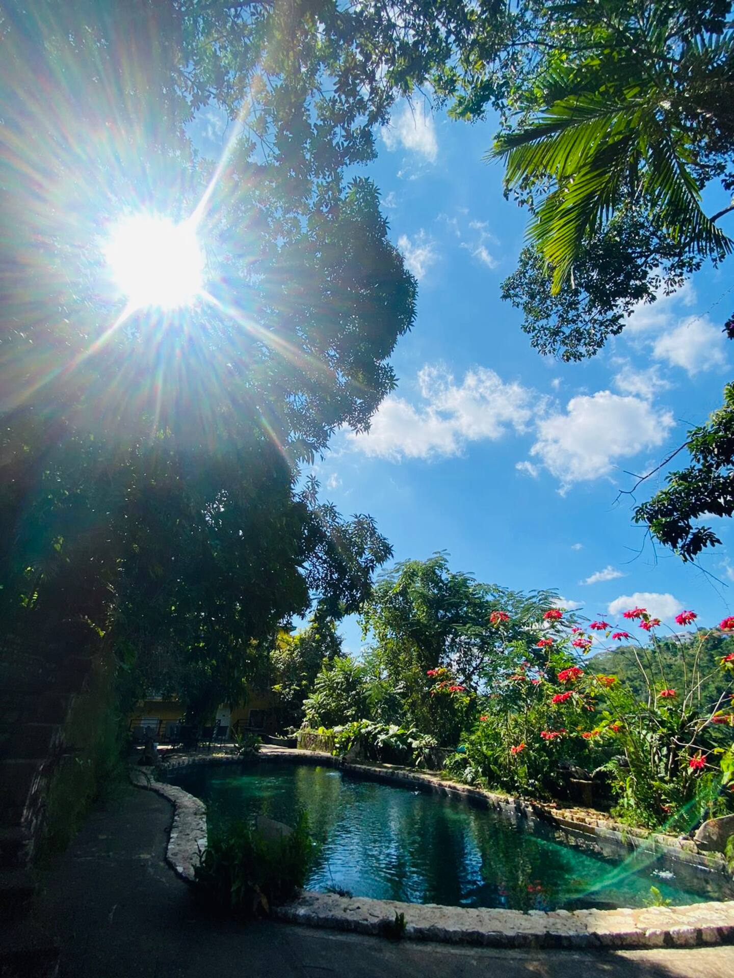 Pulse Suites At Villa Ronai – Book | Pulse Boutique Hotels